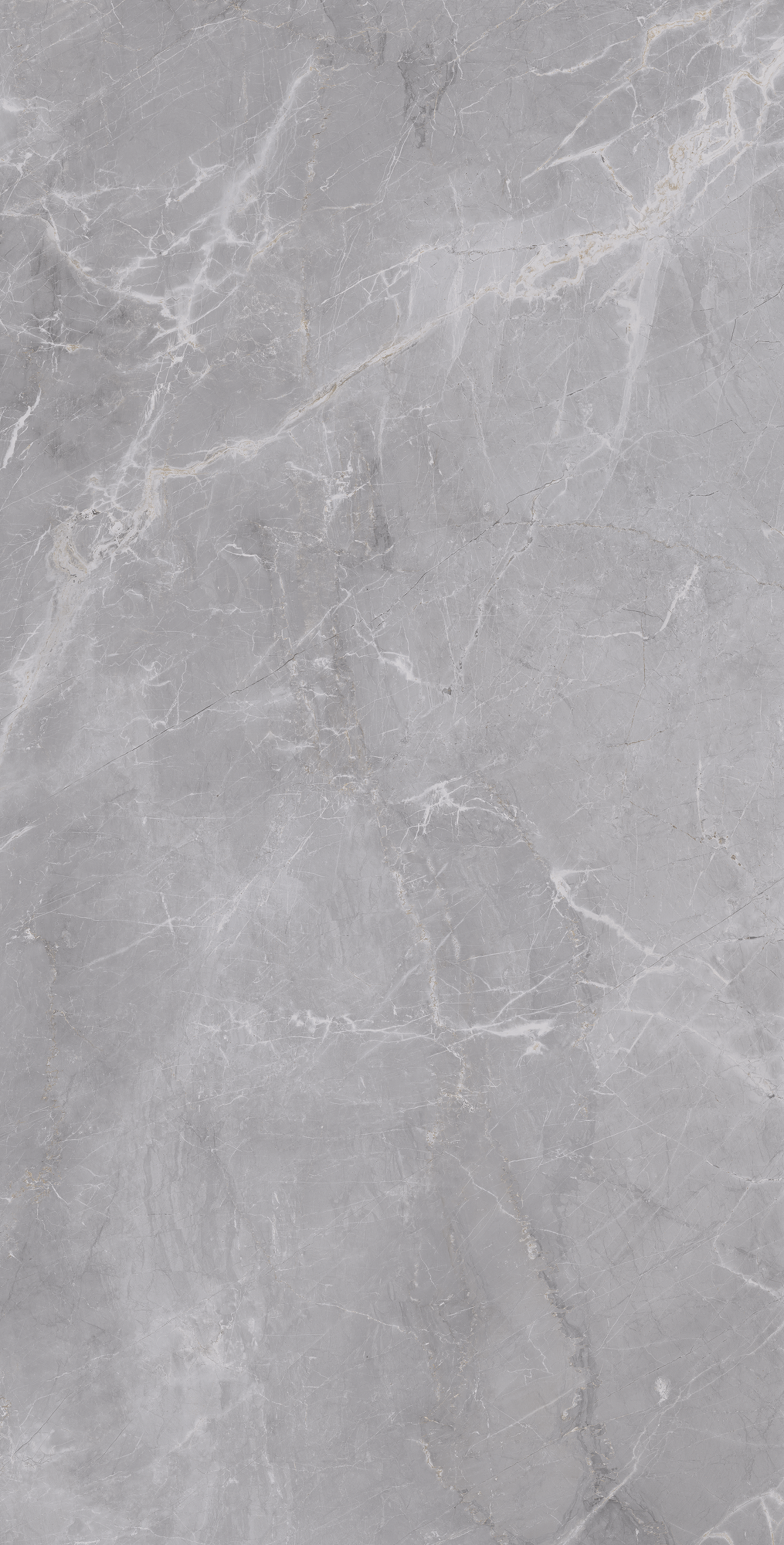 Coating Gray Marble 60x120 Polished Rectified - Portobello