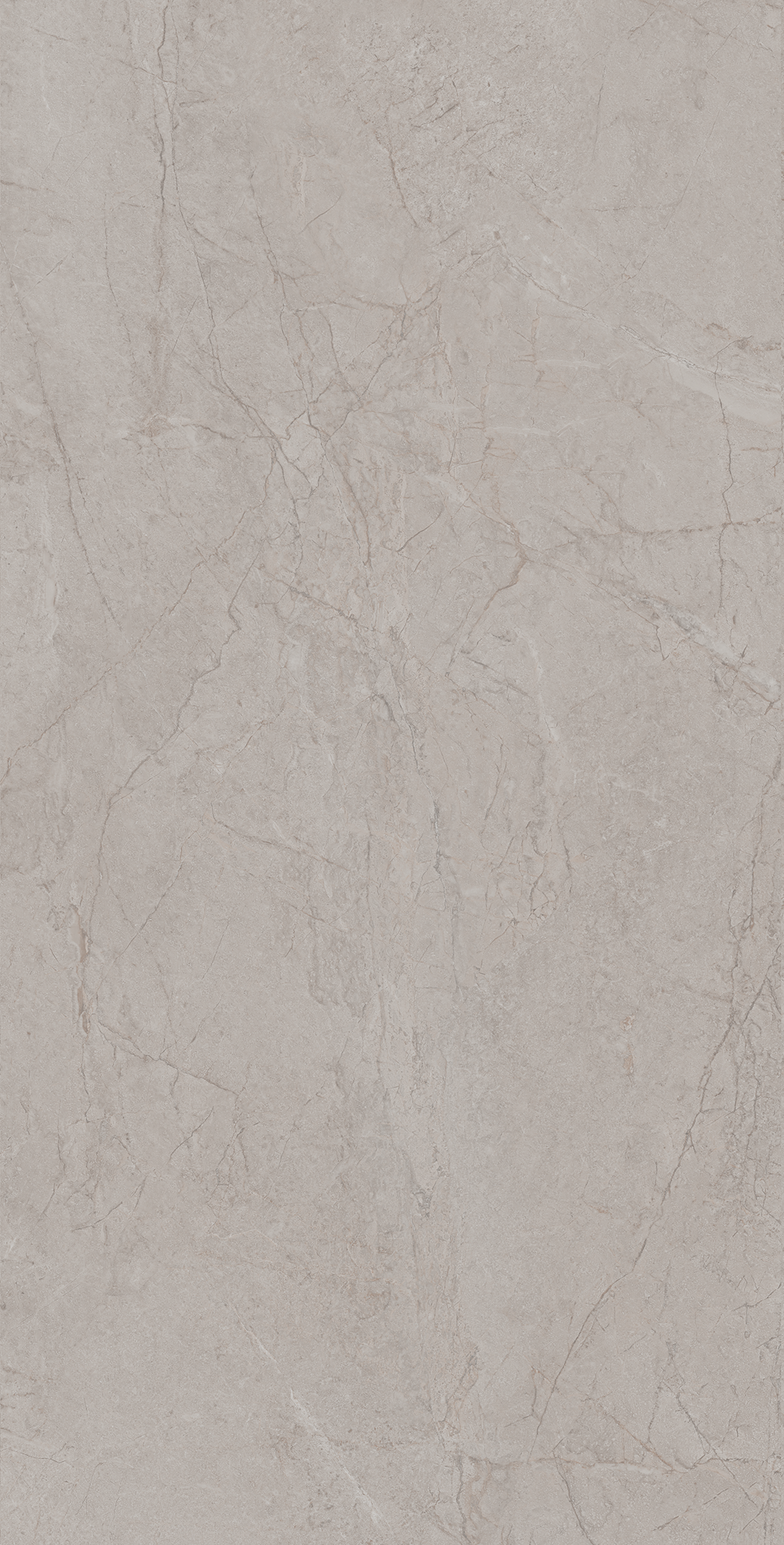 Coating Nomad Grey 60x120 Natural Rectified - Portobello