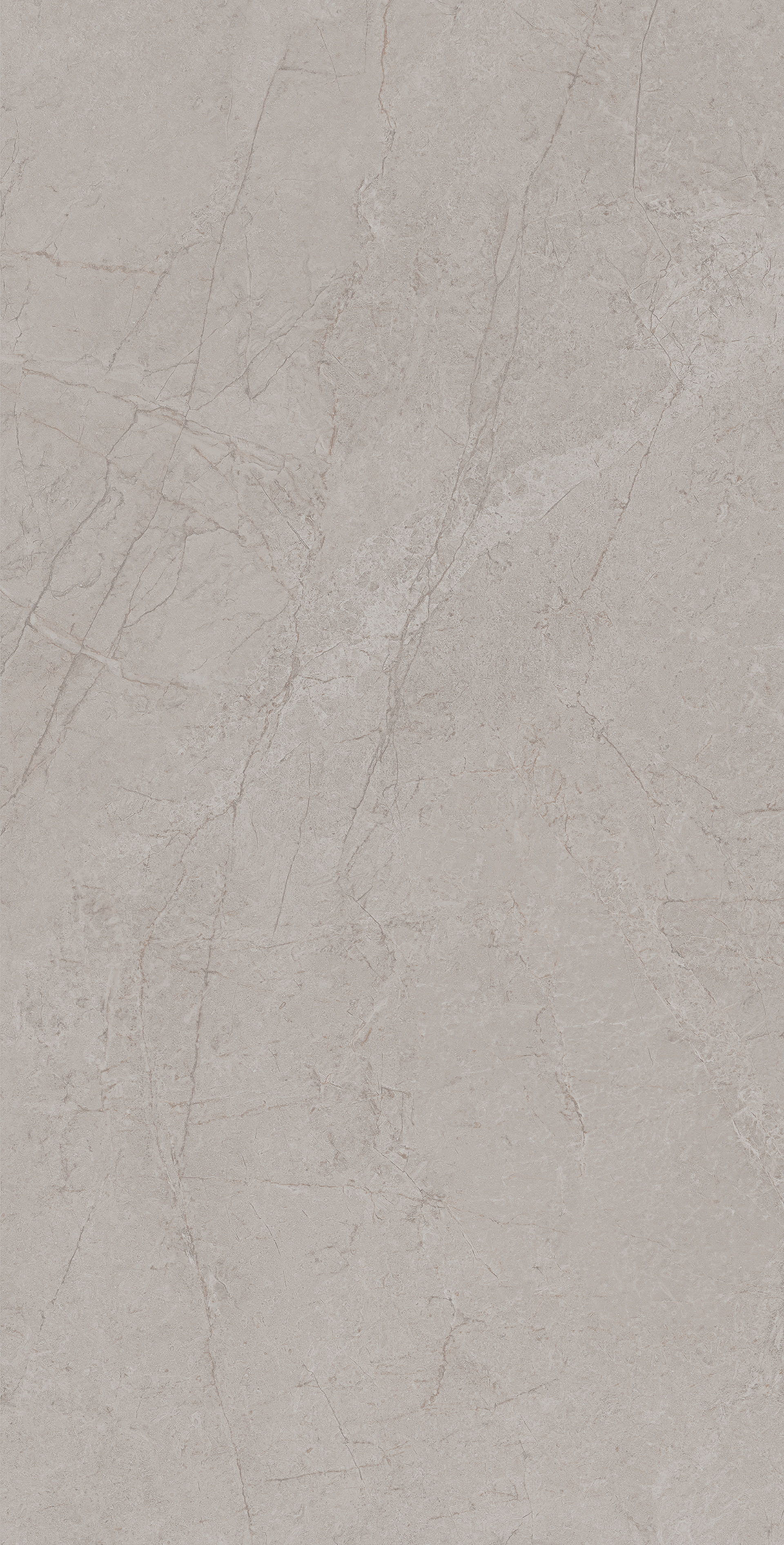 Coating Nomad Grey 60x120 Natural Rectified - Portobello