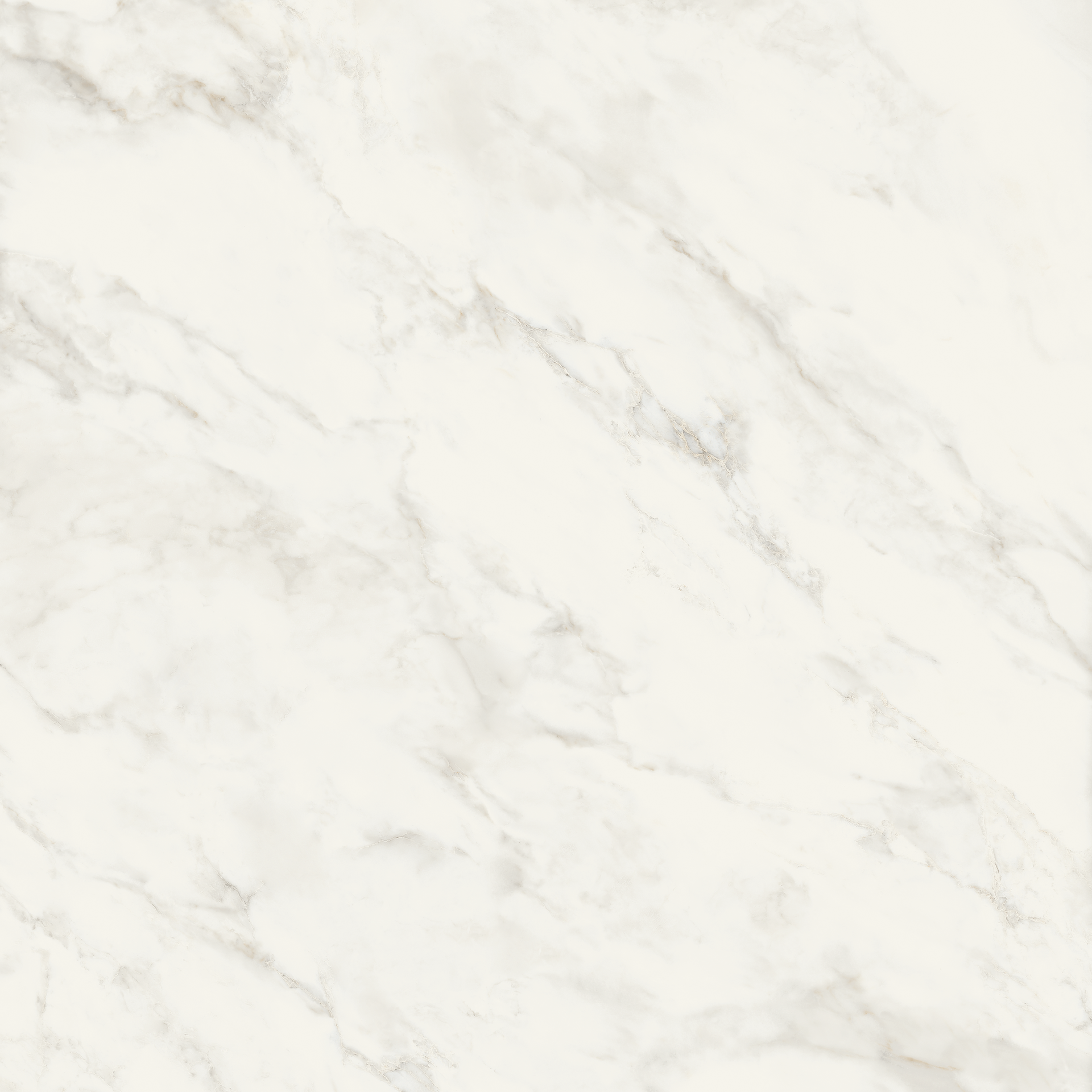 Coating Chiaro di Versilia 120x120 Natural Rectified - Portobello