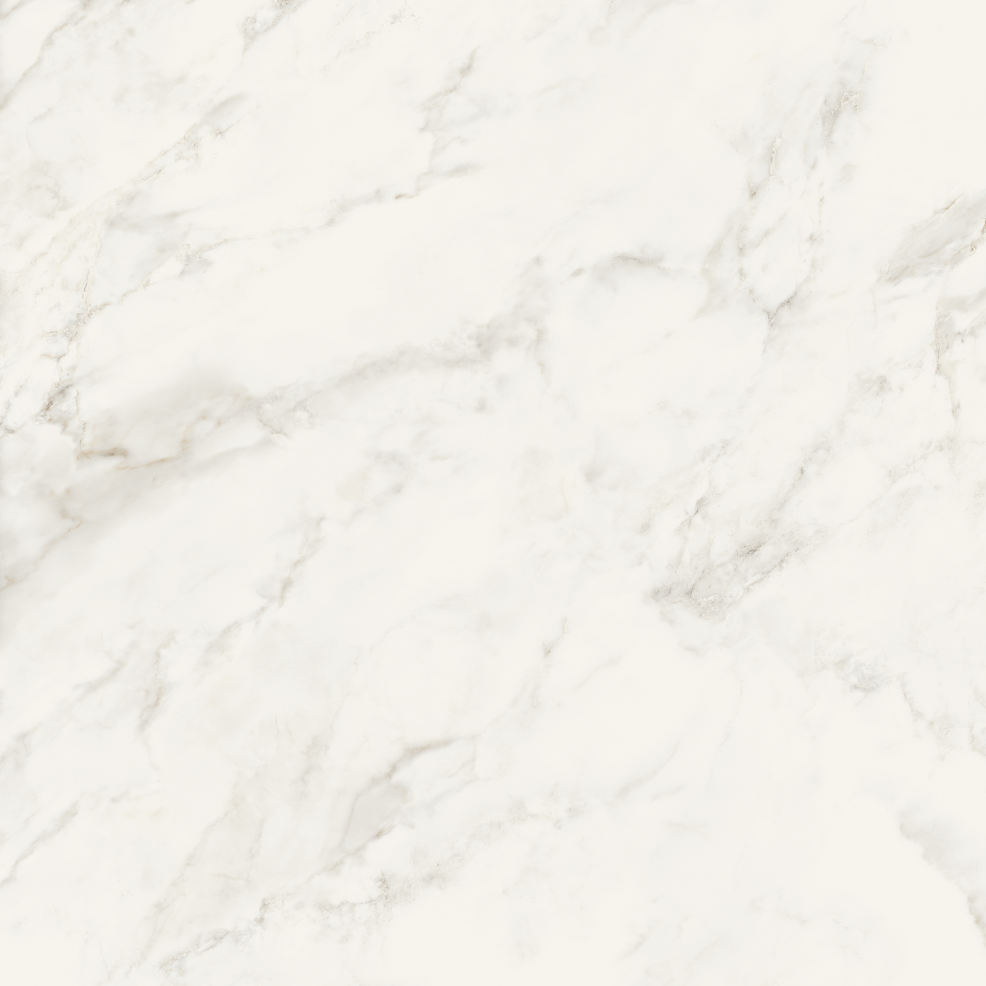 Coating Chiaro di Versilia 120x120 Natural Rectified - Portobello